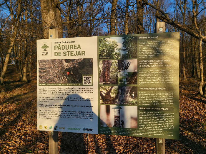 Trasee și activități :: Rezevația Repedea